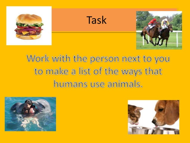 Humans vs animals | PPTX | Christianity | Religion & Spirituality