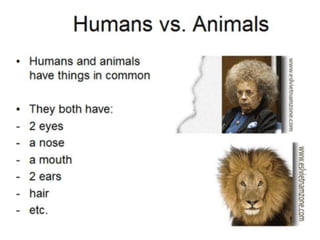 Humans vs. Animals (presentation) | PPTX
