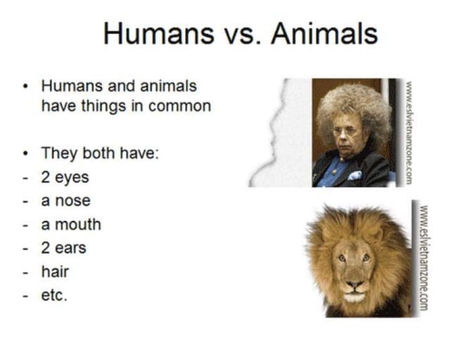 Humans vs. Animals (presentation) | PPTX