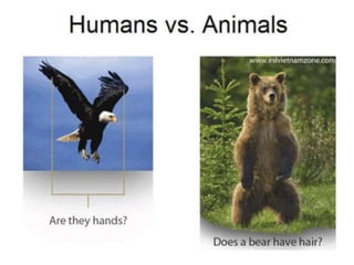Humans vs. Animals (presentation) | PPTX