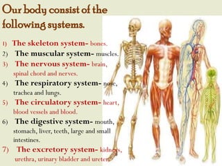Human system | PPSX | Bone and Joint Conditions | Diseases and Conditions