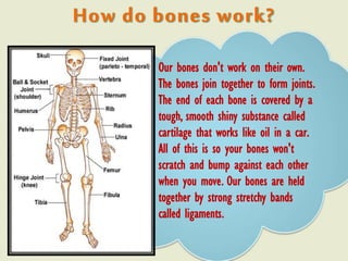 Human system | PPSX | Bone and Joint Conditions | Diseases and Conditions