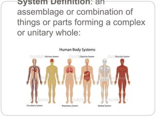 Human systems | PPT