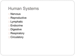 Human systems | PPT