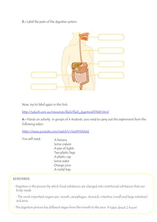 Human systems materials | PDF