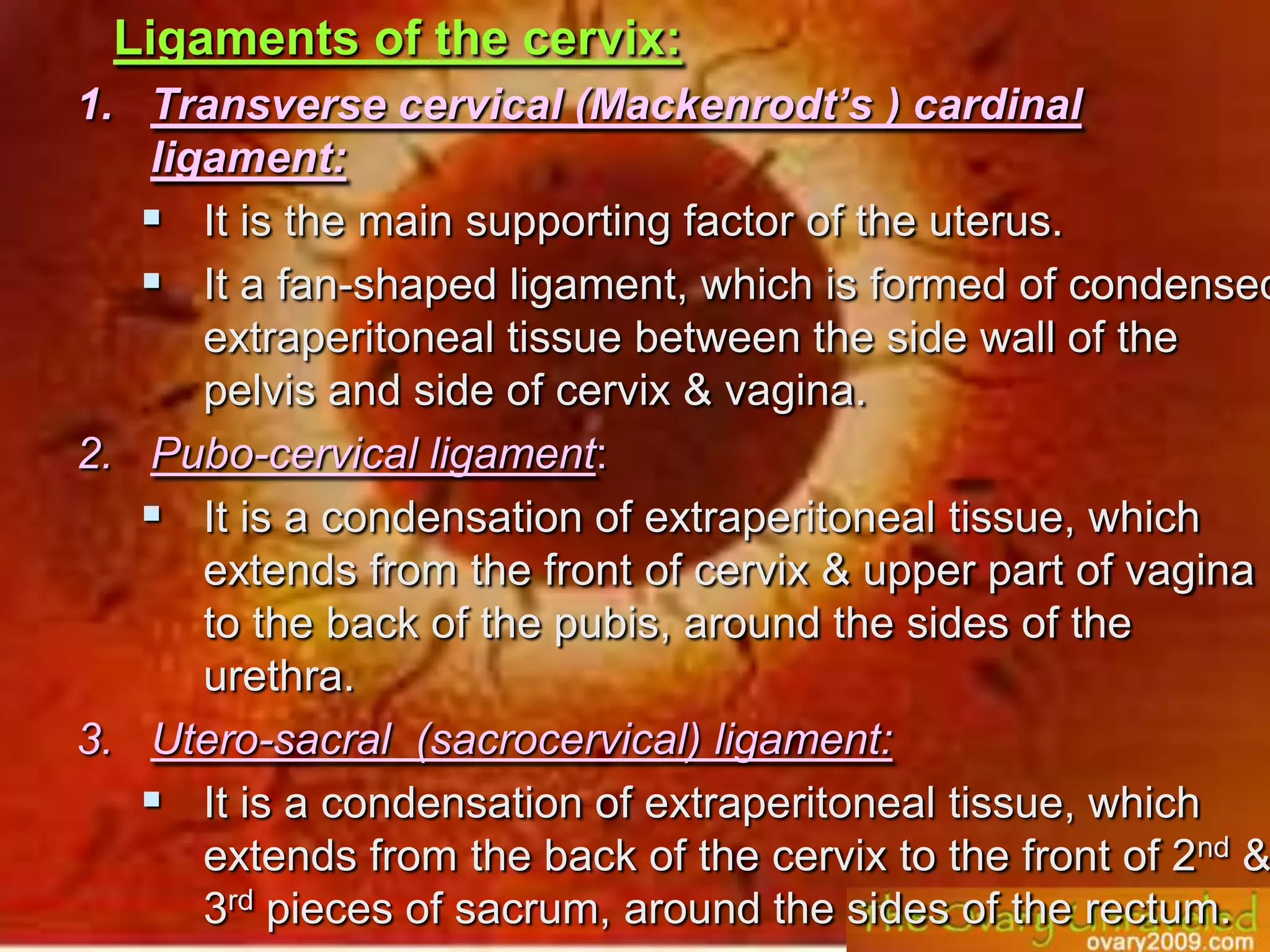 Human System System Of Reproductive Female | PPSX