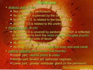 Human System System Of Reproductive Female | PPSX