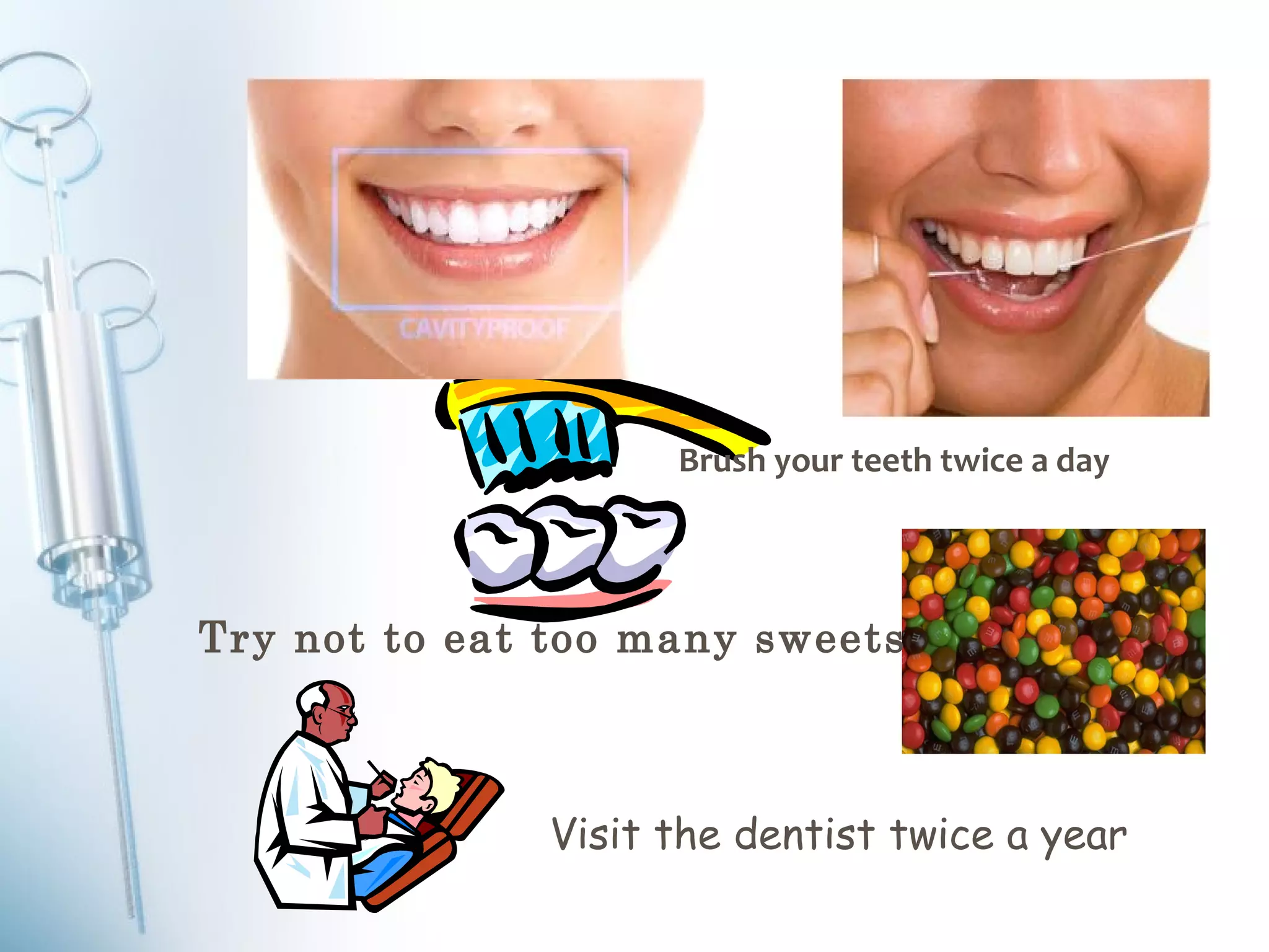 Human teeth | PPT