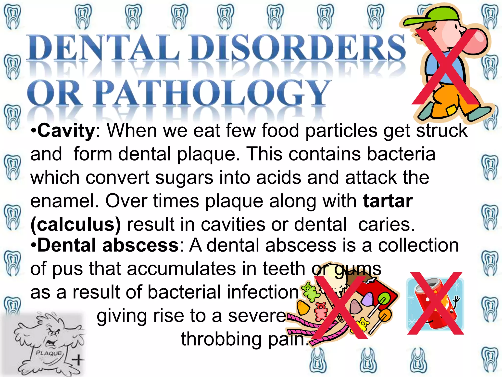 Human teeth and its functions | PPTX