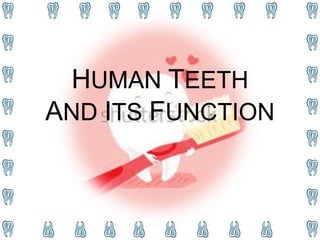 Human teeth and its functions | PPTX