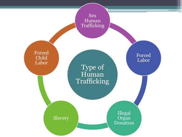 Human Trafficking - Criminology