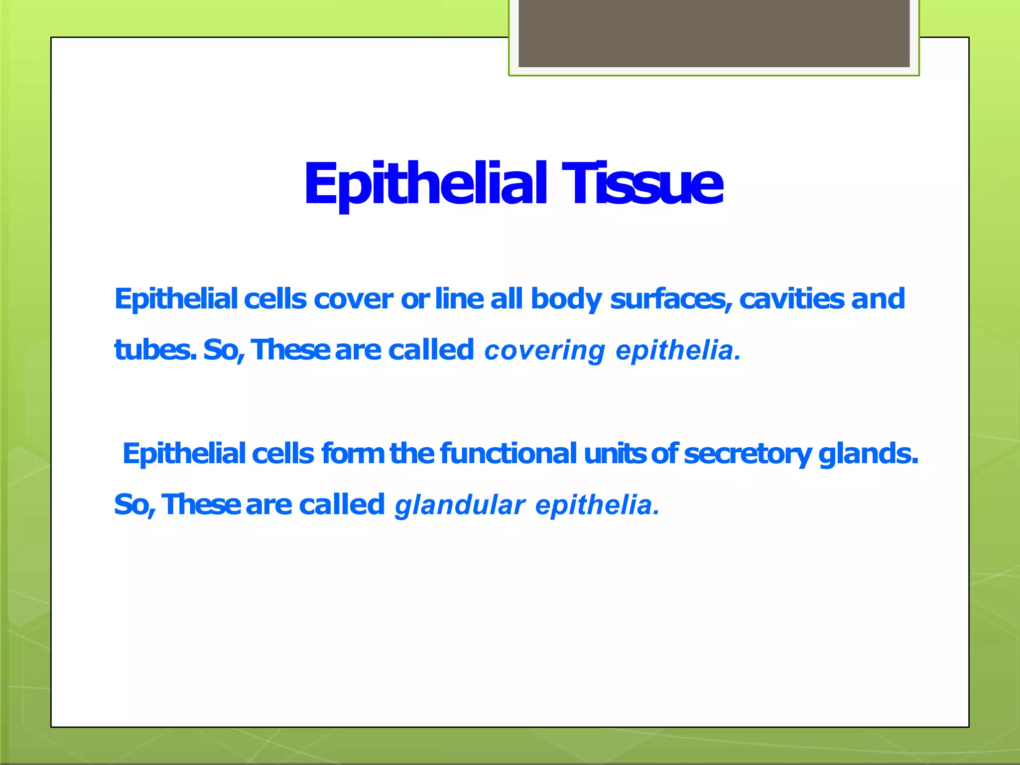 Anatomy And Physiology of Human tissues | PPTX