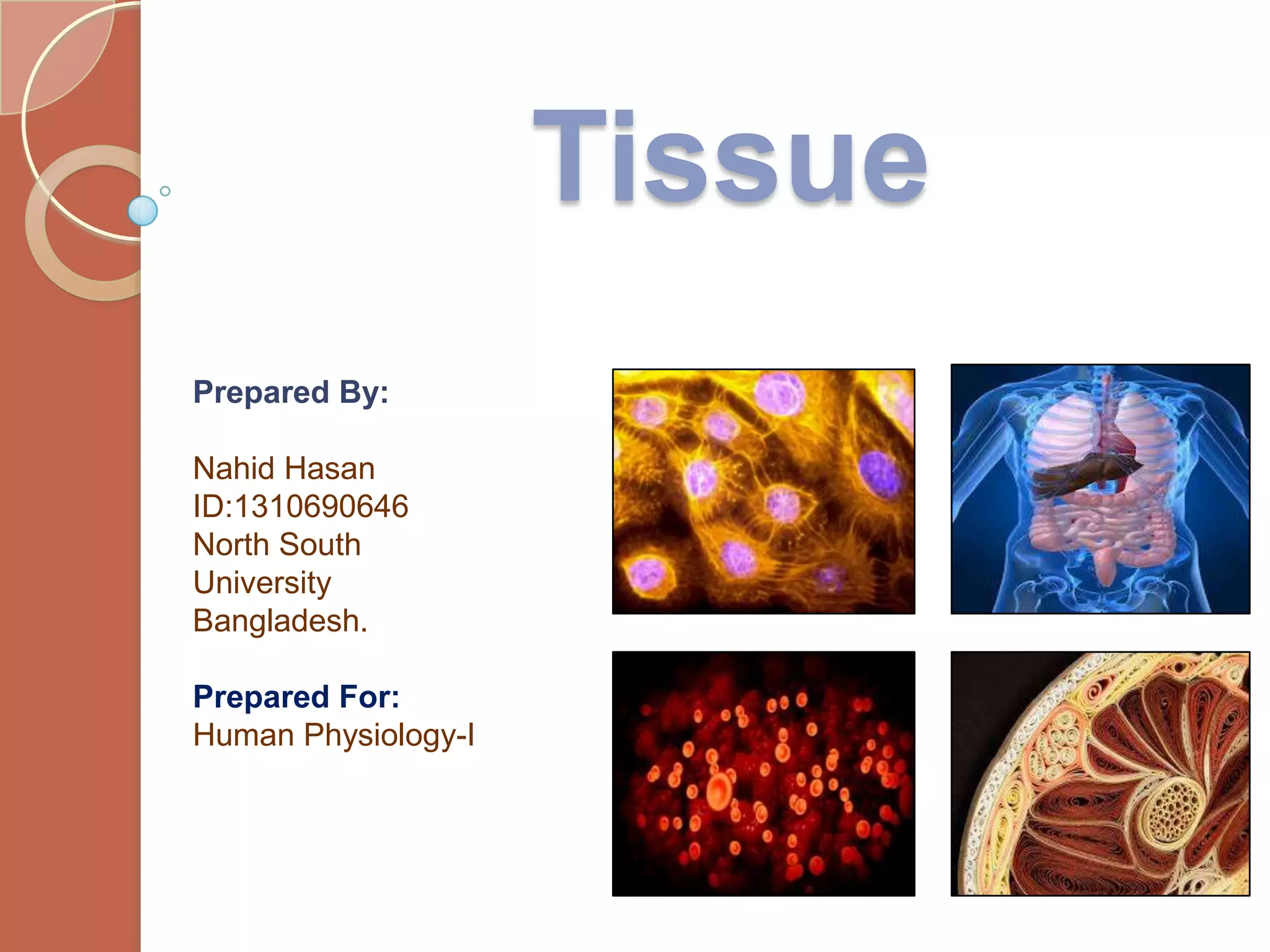 Human tissues | PDF