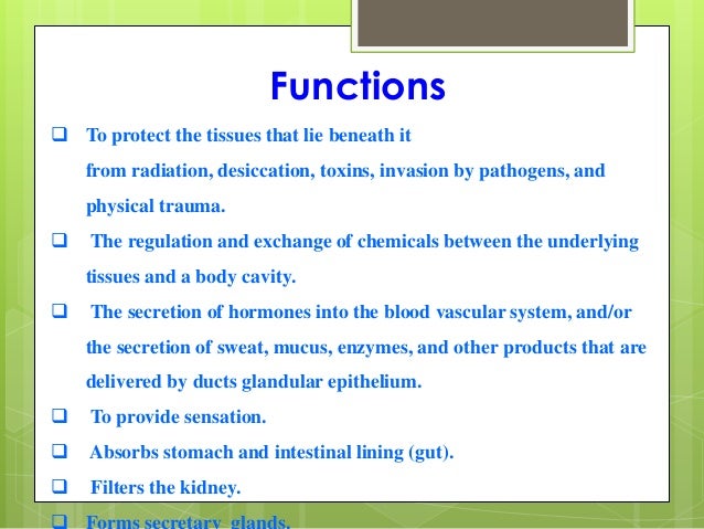 Human Tissues And Their Functions 4 Important Types Of Tissue In human-tissues-and-their-functions-4-important-types-of-tissue-in