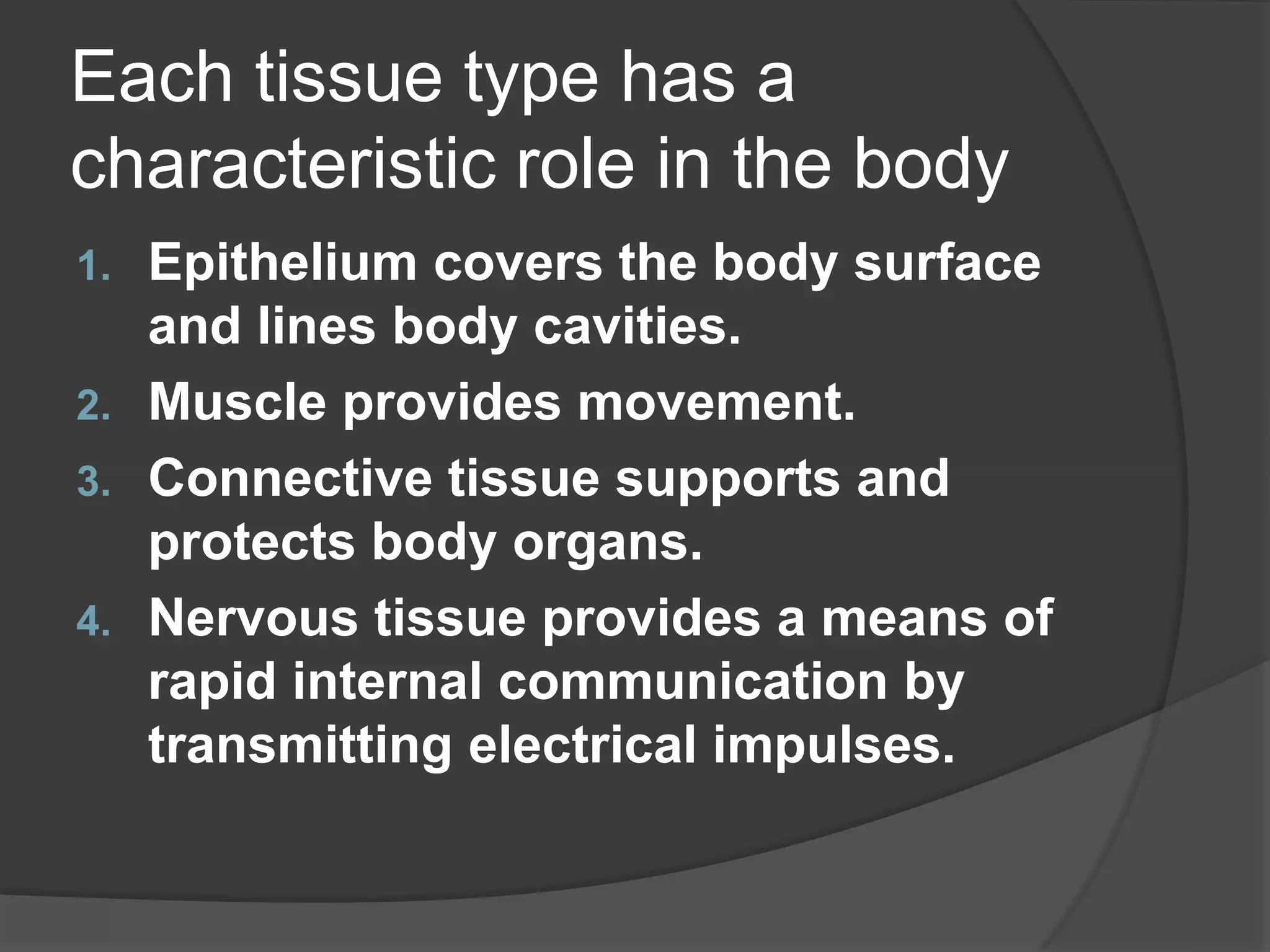 Human tissue | PPTX
