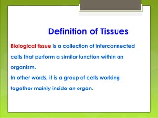 human tissue.pdf