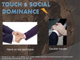 Human touch perception | PPT