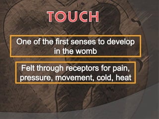 Human touch perception | PPT