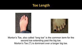 Human traits inventory | PPTX