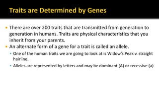 Human traits inventory | PPTX