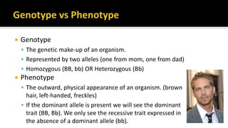 Human traits inventory | PPTX
