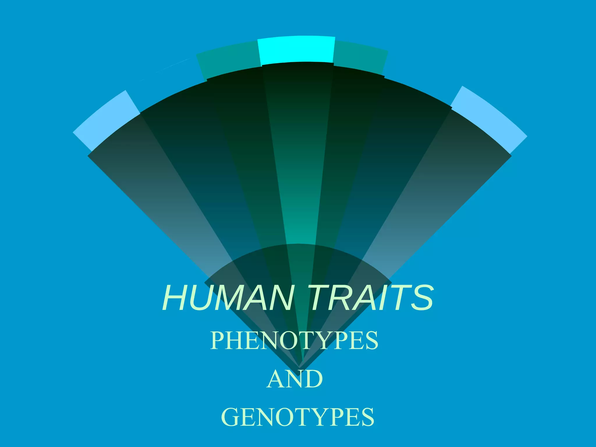 Human traits power point | PPT