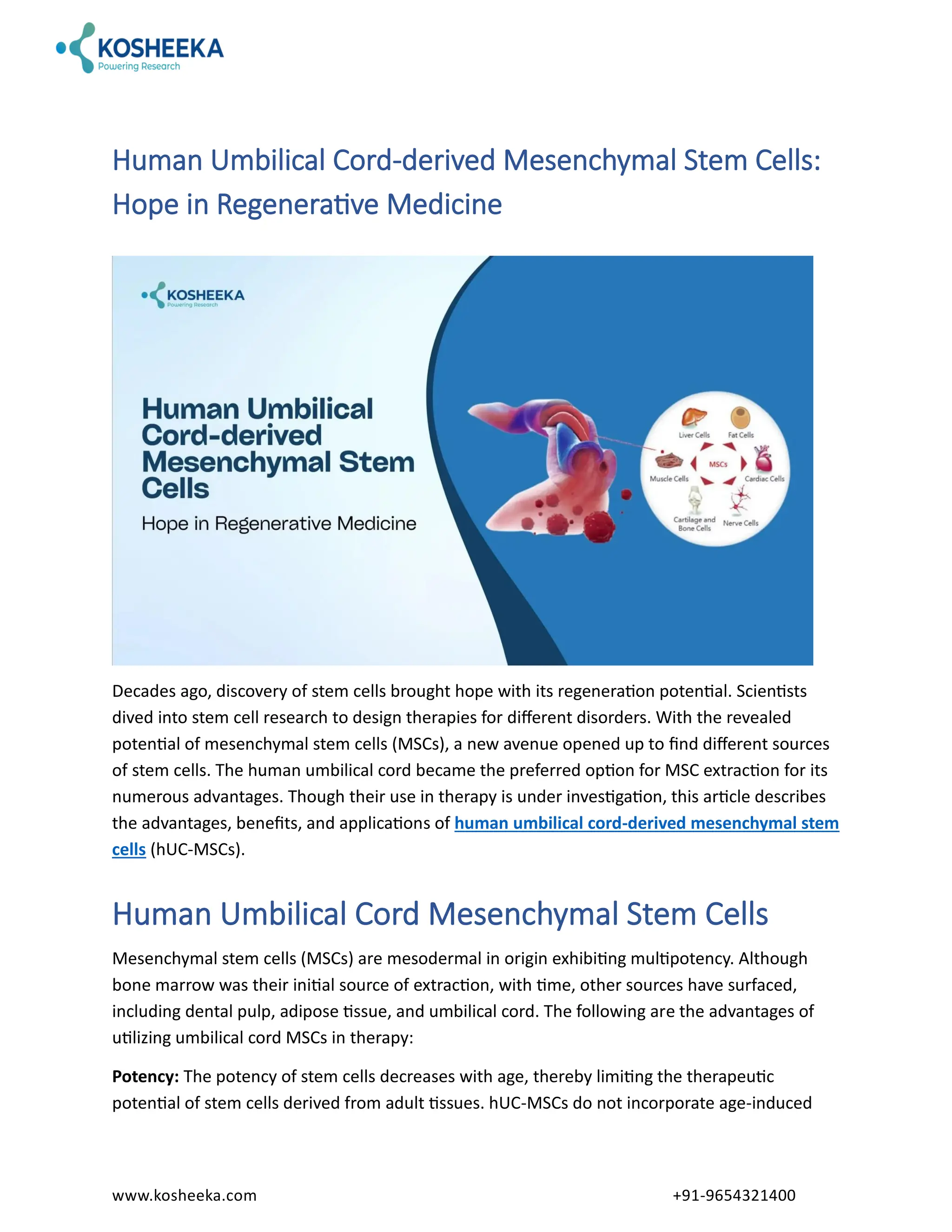 Human Umbilical Cord-derived Mesenchymal Stem Cells | PDF