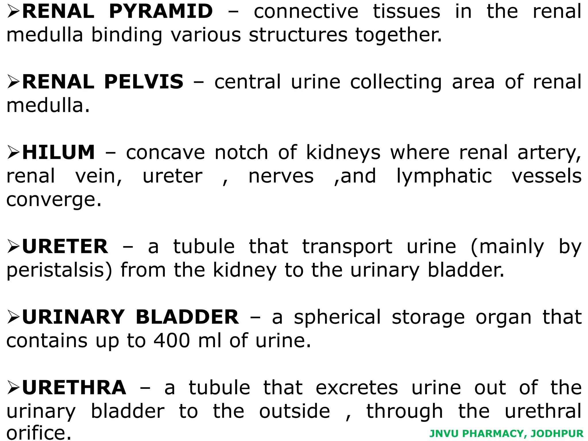 Human urinary system | PPTX | Chemistry | Science