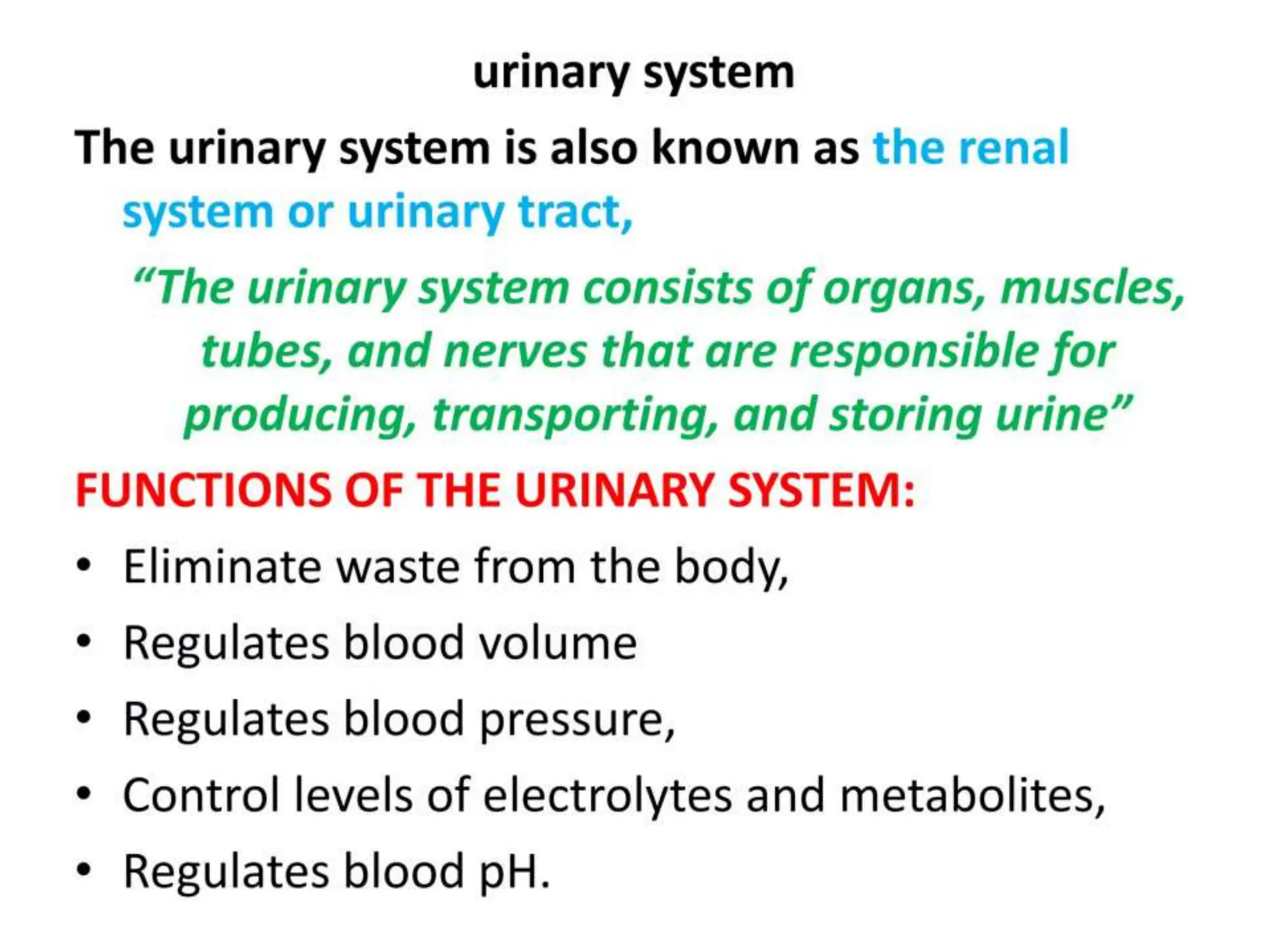 Human Urinary System for Nursing studnts | PPT