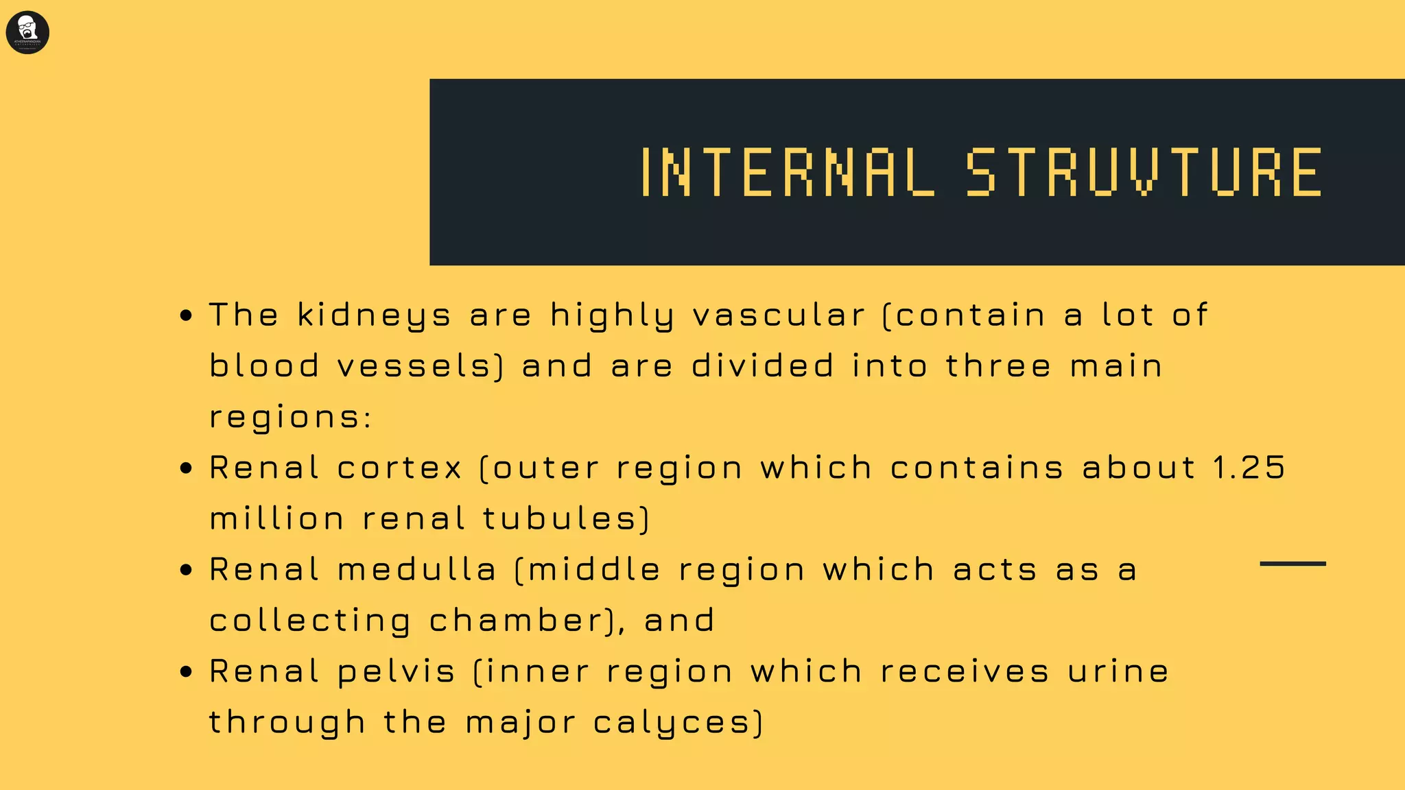 Human urinary system kidney(internal and external structure) | PPT