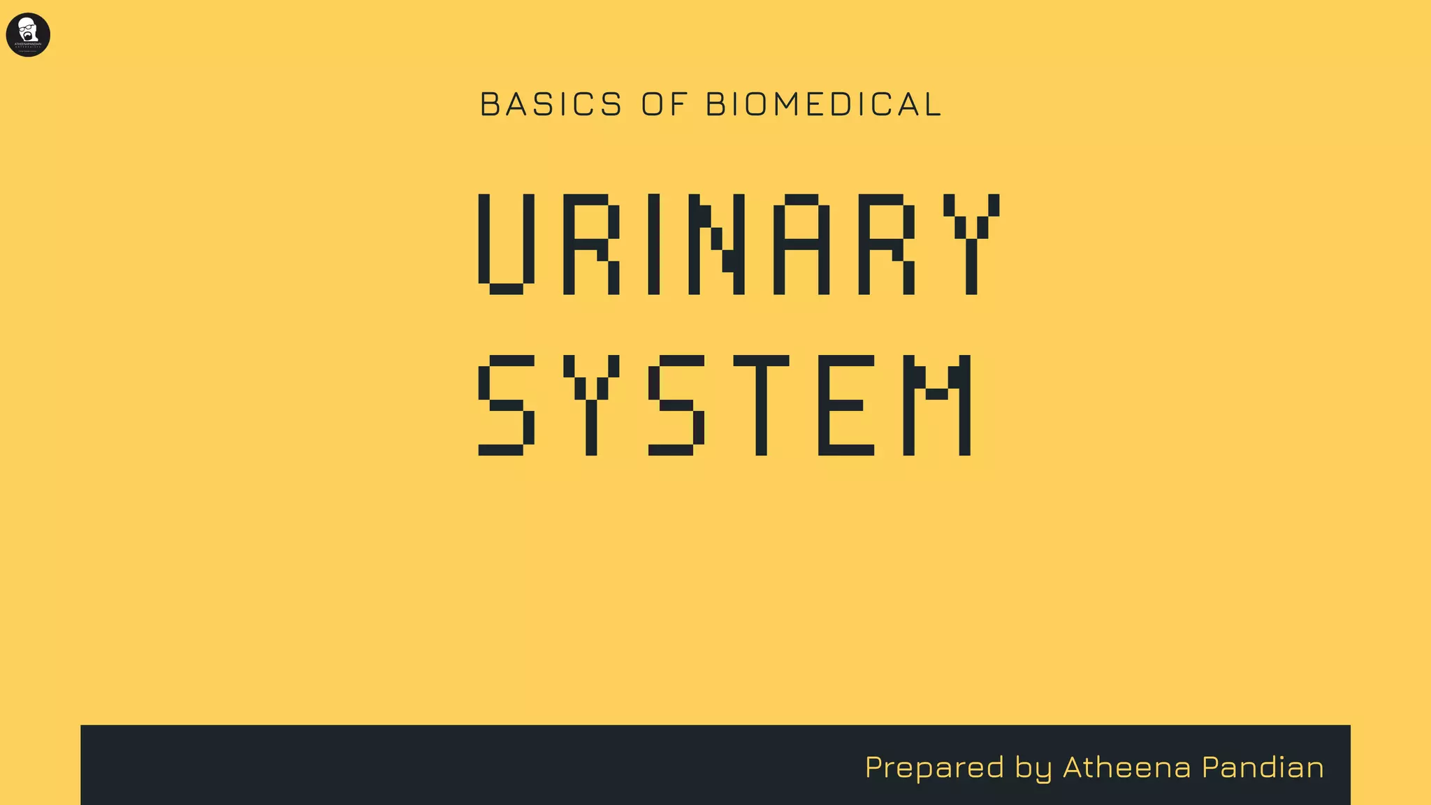 Human urinary system kidney(internal and external structure) | PPT