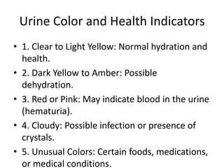 Human_Urine_Presentation_with-details.pptx