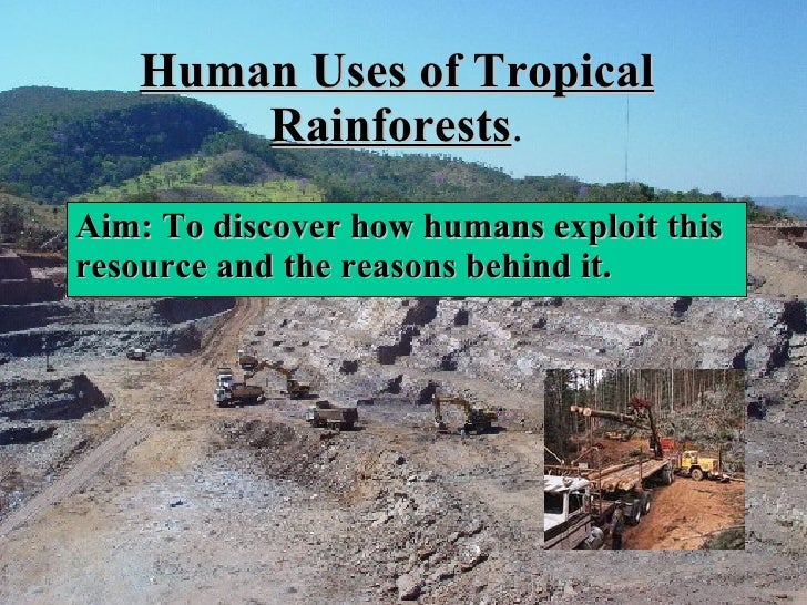 Human Uses Of Tropical Rainforests.