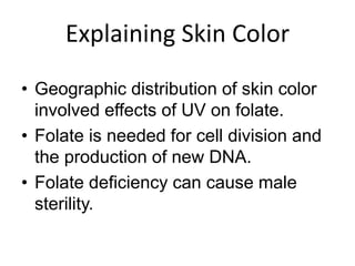 Human variation | PPTX