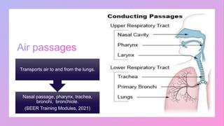 Human ventilation system repurposed presentation | PPT