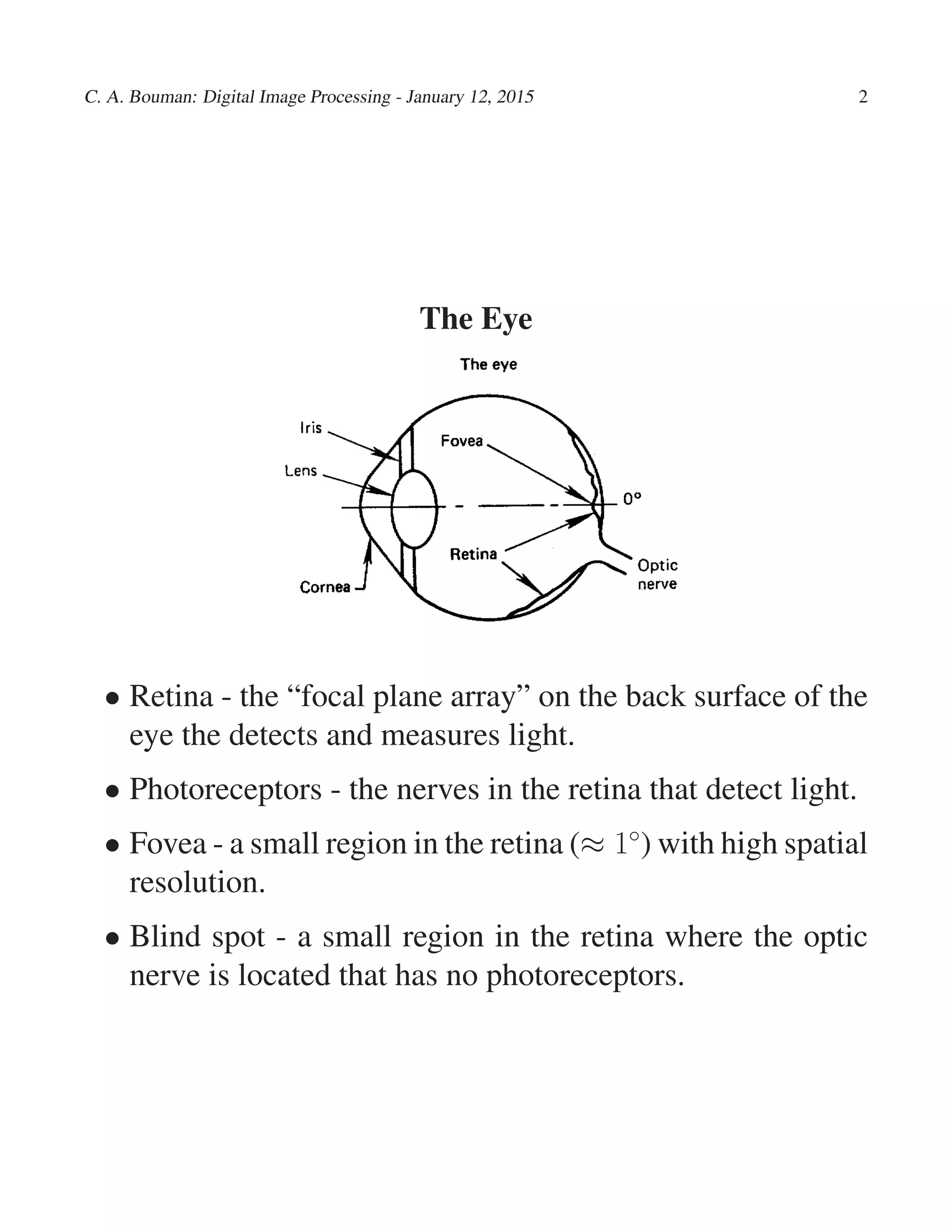 Human visual perception | PDF