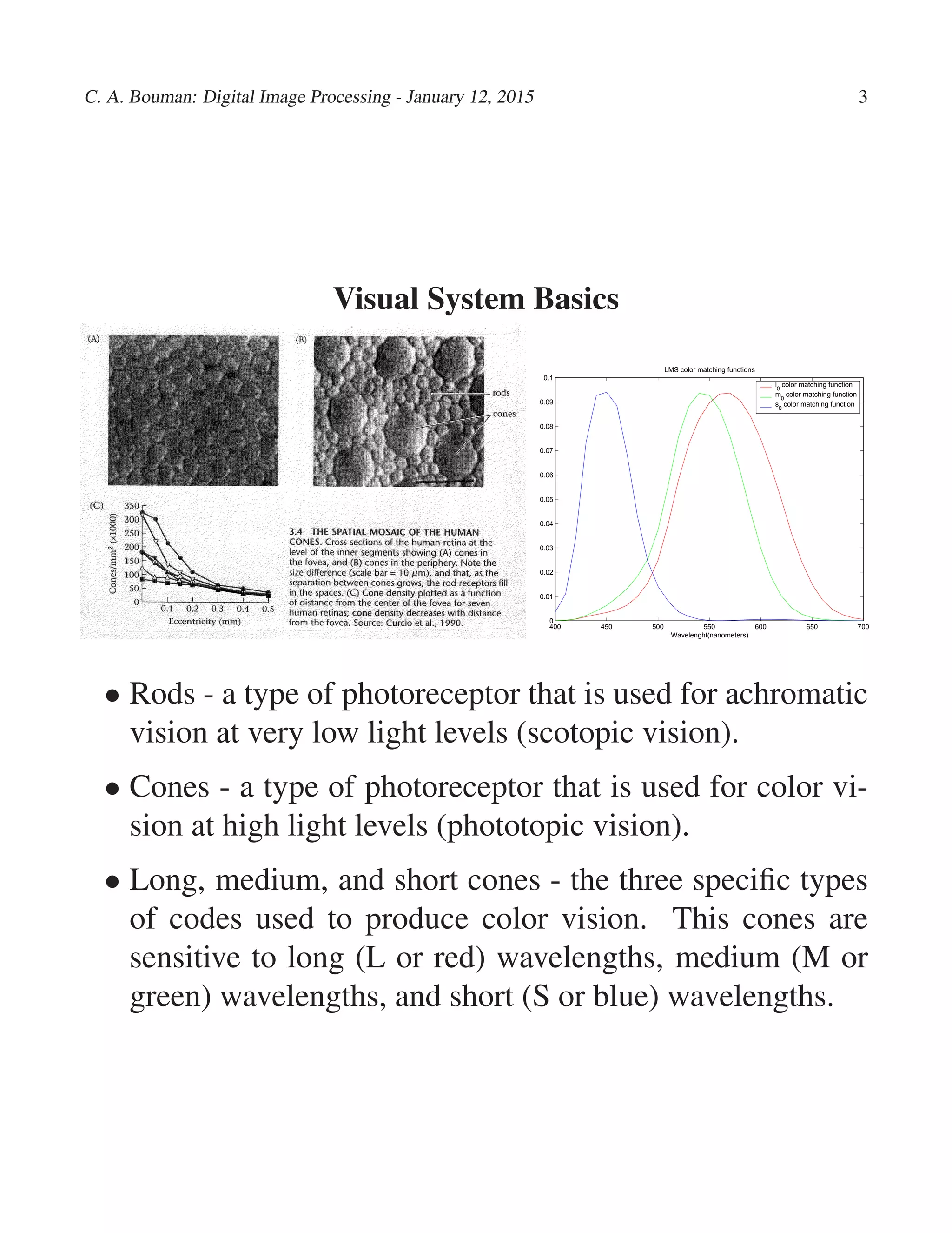Human visual perception | PDF