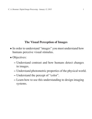 Human visual perception | PDF