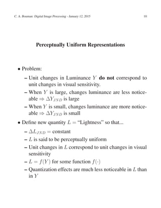 Human visual perception | PDF