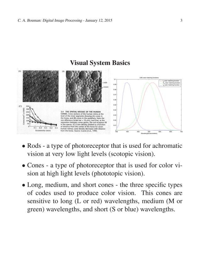Human visual perception | PDF