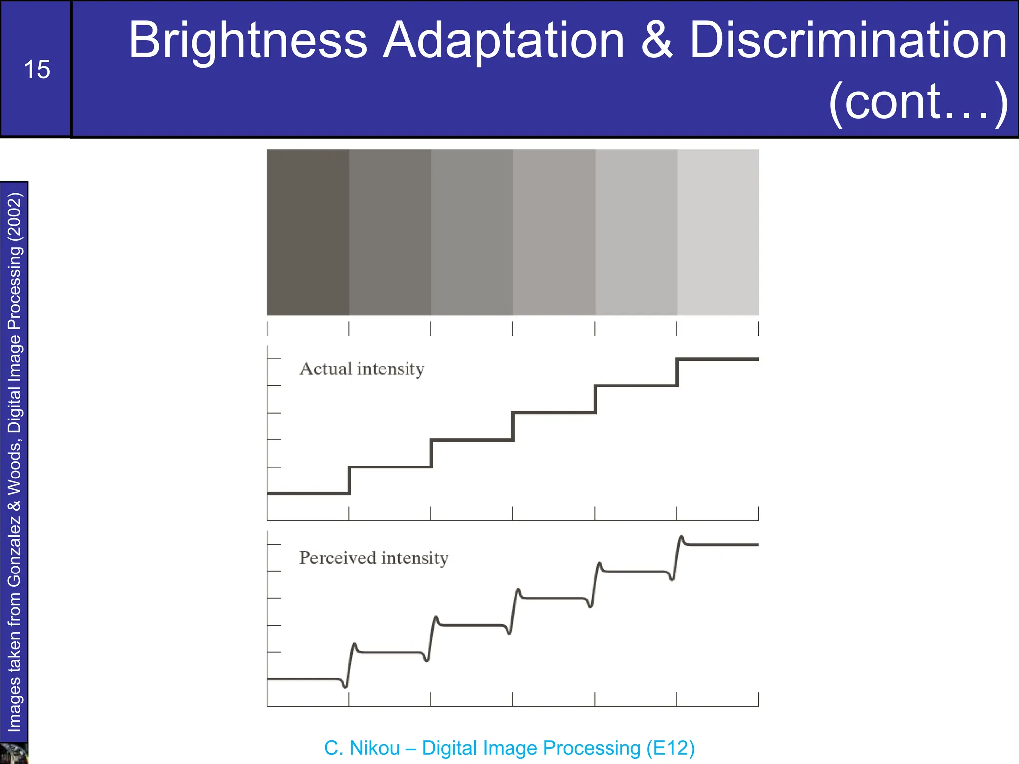 Human Visual System in Digital Image Processing.ppt
