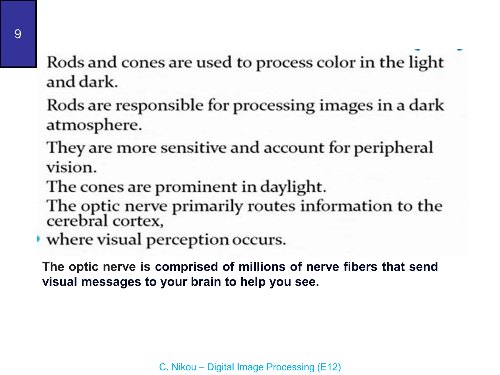 Human Visual System in Digital Image Processing.ppt