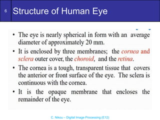 Human Visual System in Digital Image Processing.ppt