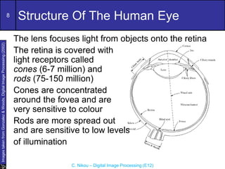 Human Visual System in Digital Image Processing.ppt