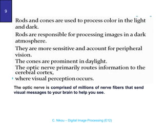 Human Visual System in Digital Image Processing.ppt
