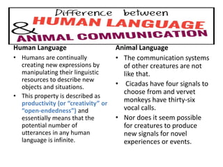human vs Animal Lang.pptx
