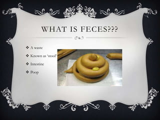 Human waste | PPT