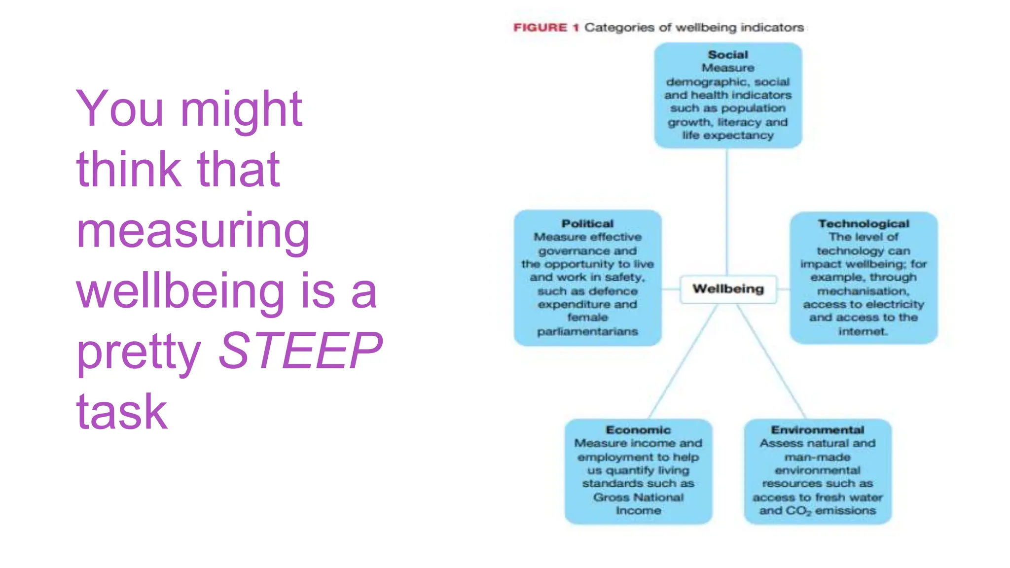 Human Wellbeing definition and measurement show [Autosaved].pptx