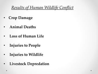 HUMAN WILDLIFE CONFLICT.....------.........pptx