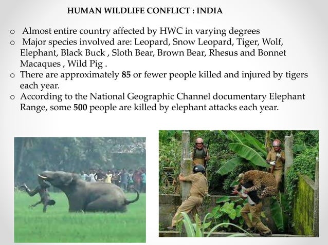 HUMAN WILDLIFE CONFLICT.....------.........pptx